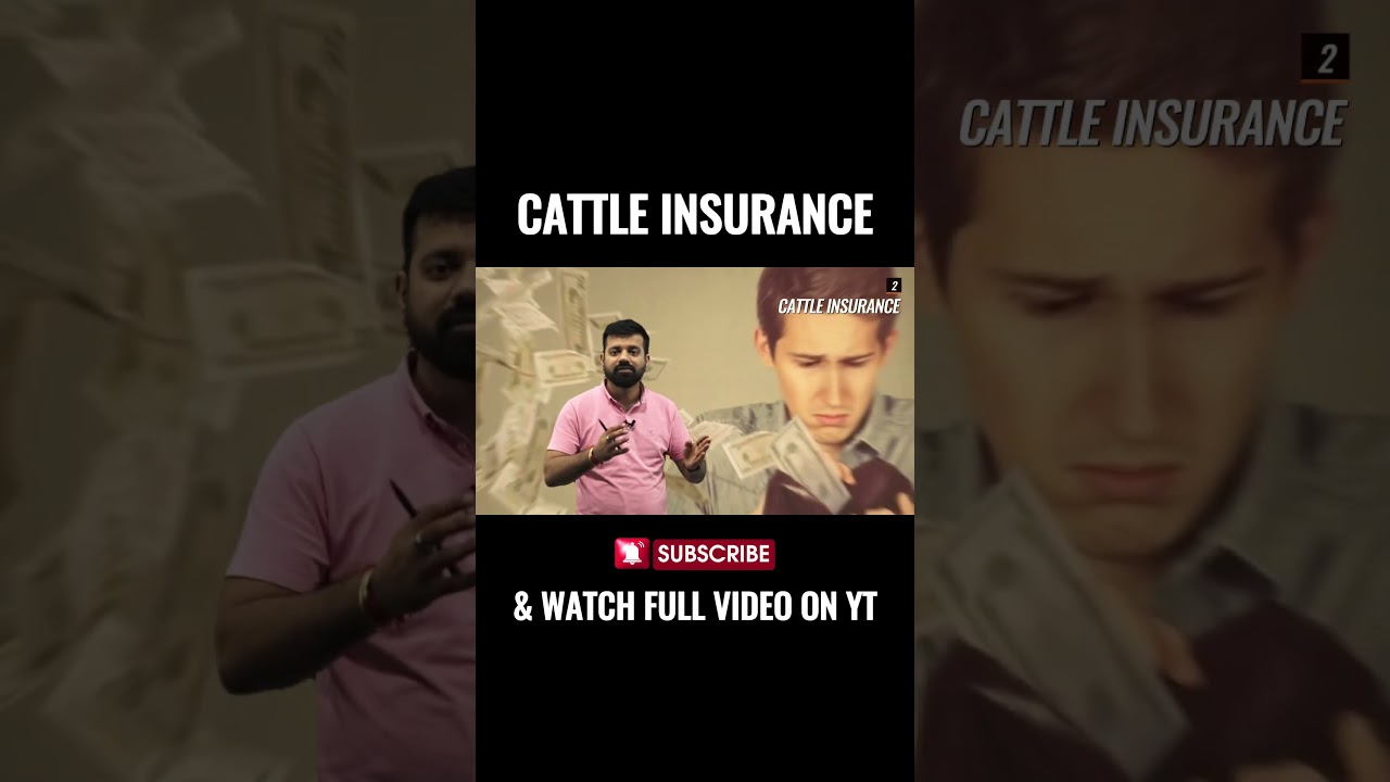 Comprehensive Term Insurance Guide | Policybazaar – Finance Snip